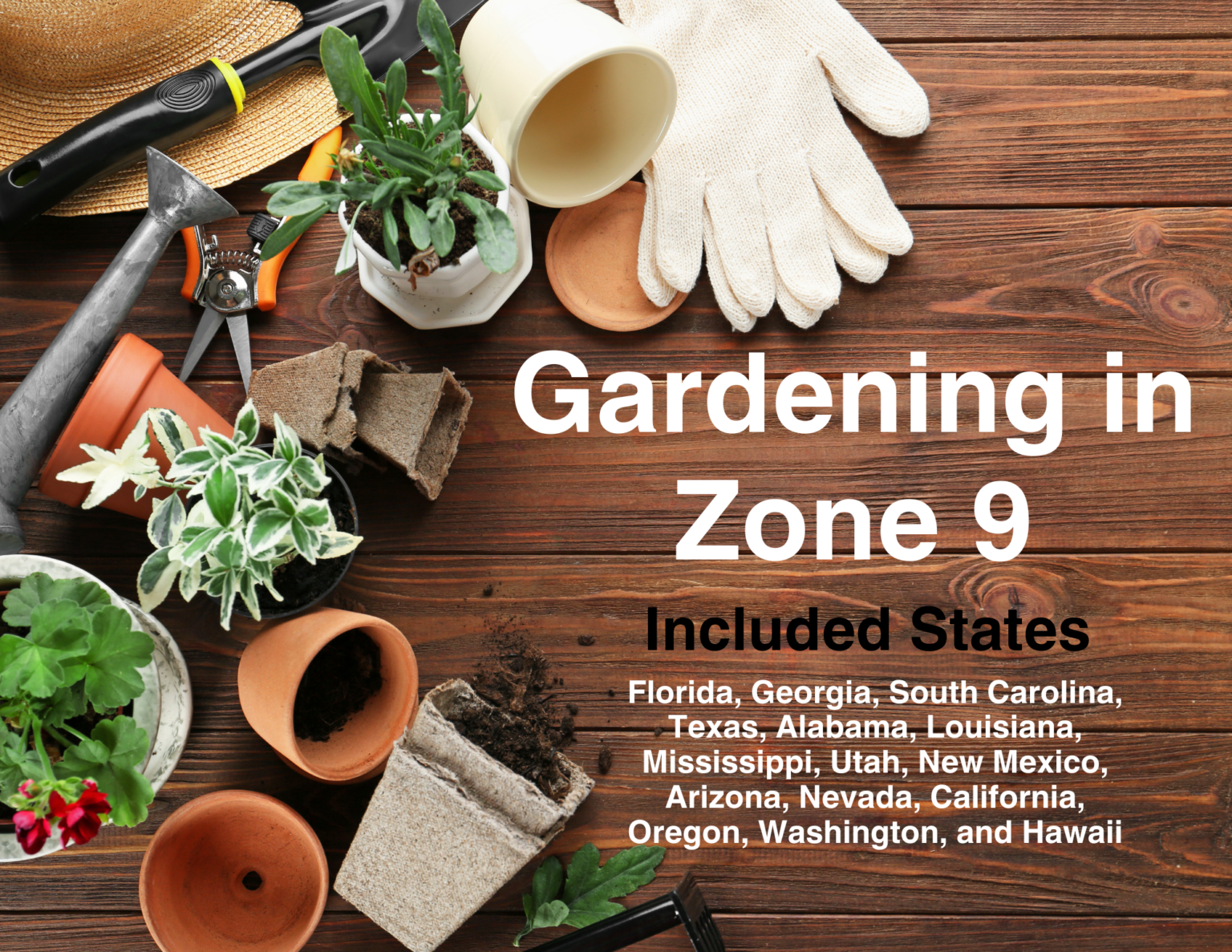 GARDENING 101 IN CALIFORNIA ZONE 9 - Love Wine and Beach